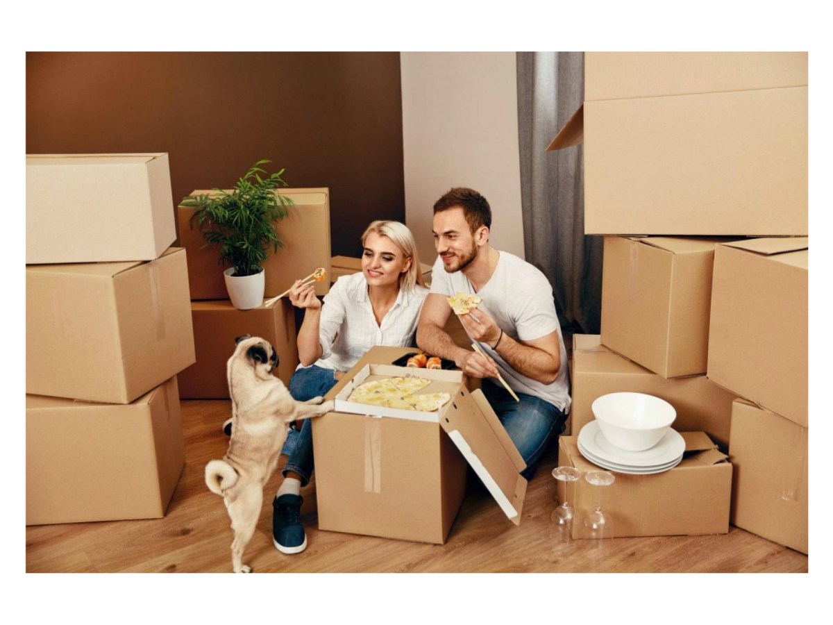 Tips for Moving with Pets | The Azzam Group at RE/MAX Haven Realty